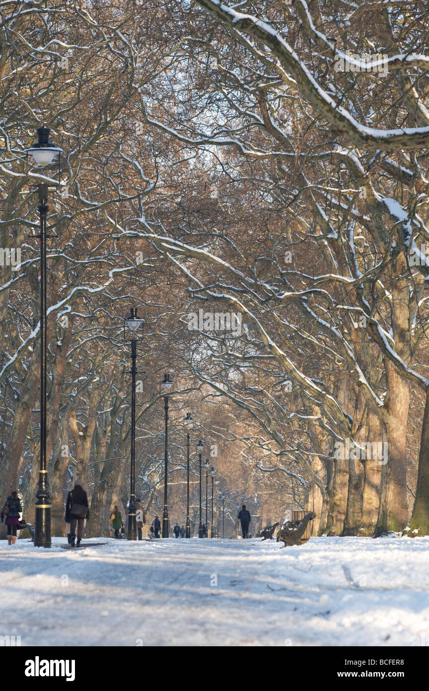 Hyde Park Snow Scene, London, England, UK Stock Photo - Alamy