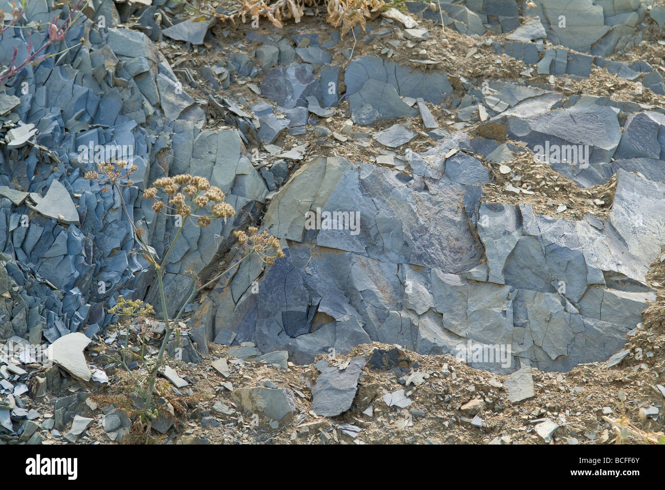 Abrasion River High Resolution Stock Photography and Images - Alamy