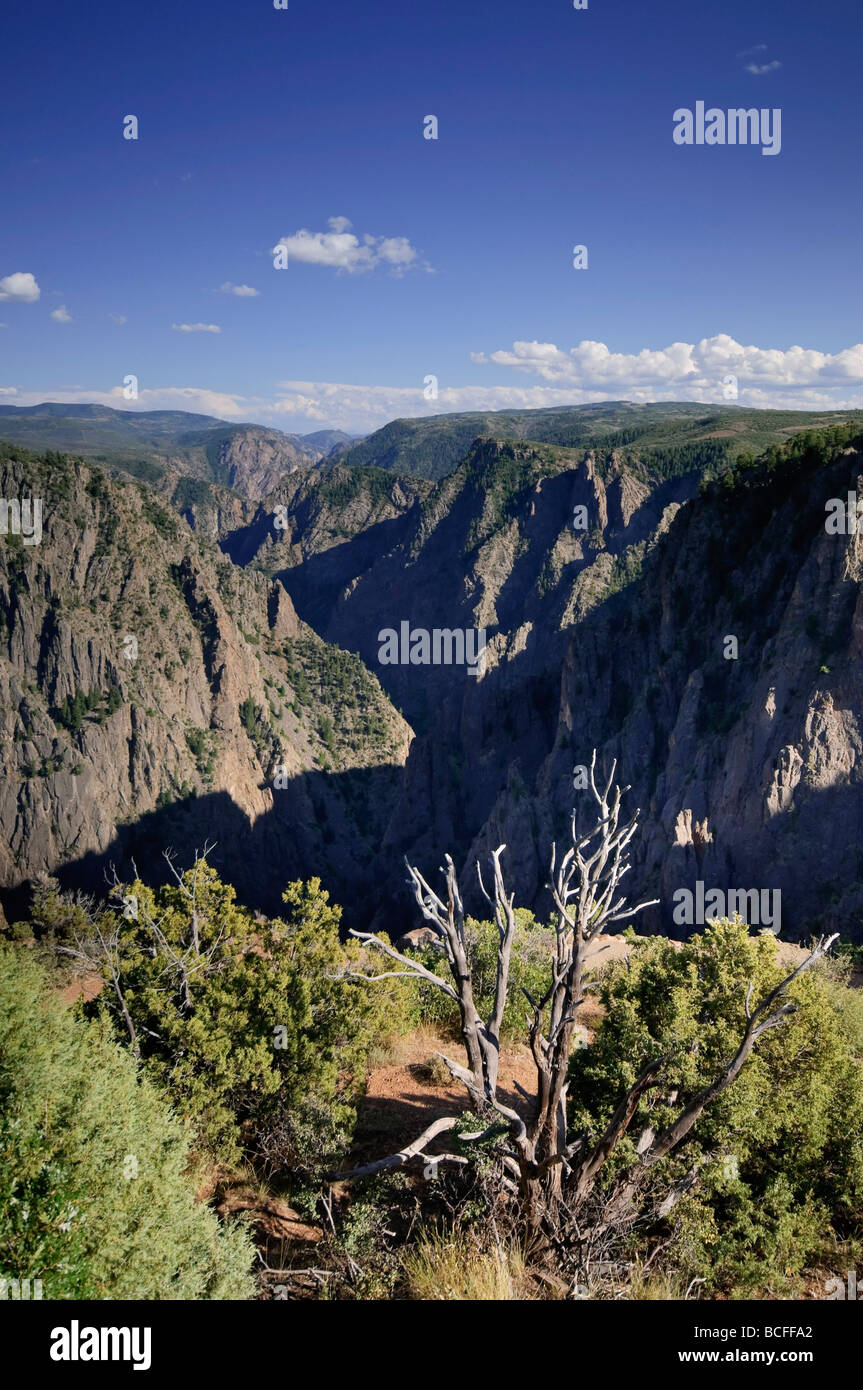 Tomichi Point, Black Canyon of The Gunnison National Park, Colorado ...