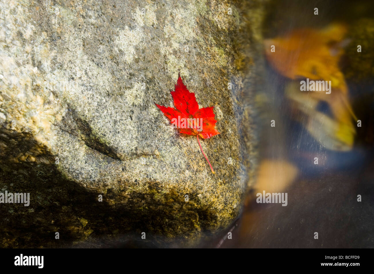 USA, Maine, Grafton Notch State Park, Screw Auger Falls Stock Photo - Alamy
