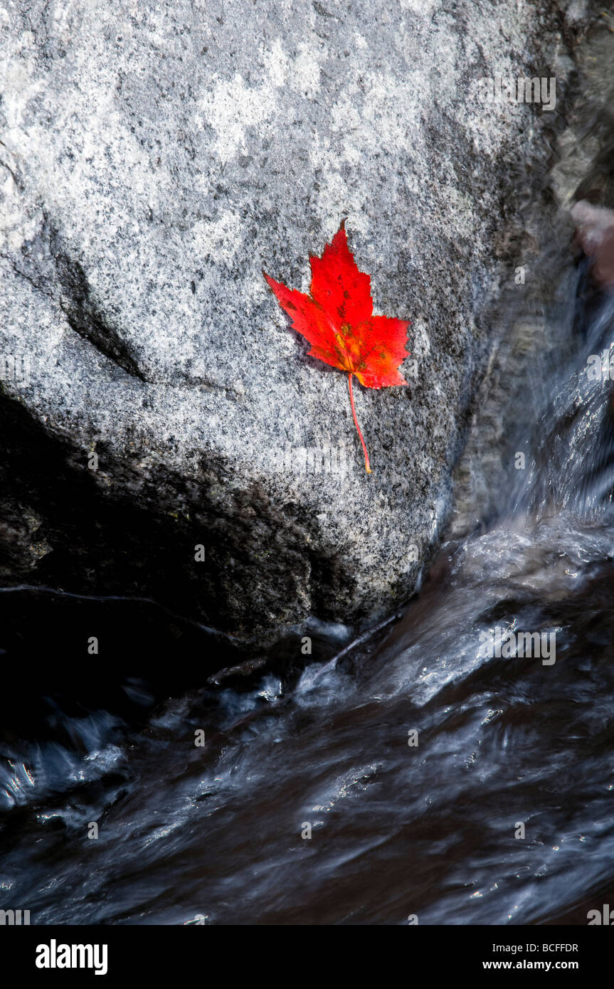 USA, Maine, Grafton Notch State Park, Screw Auger Falls Stock Photo - Alamy