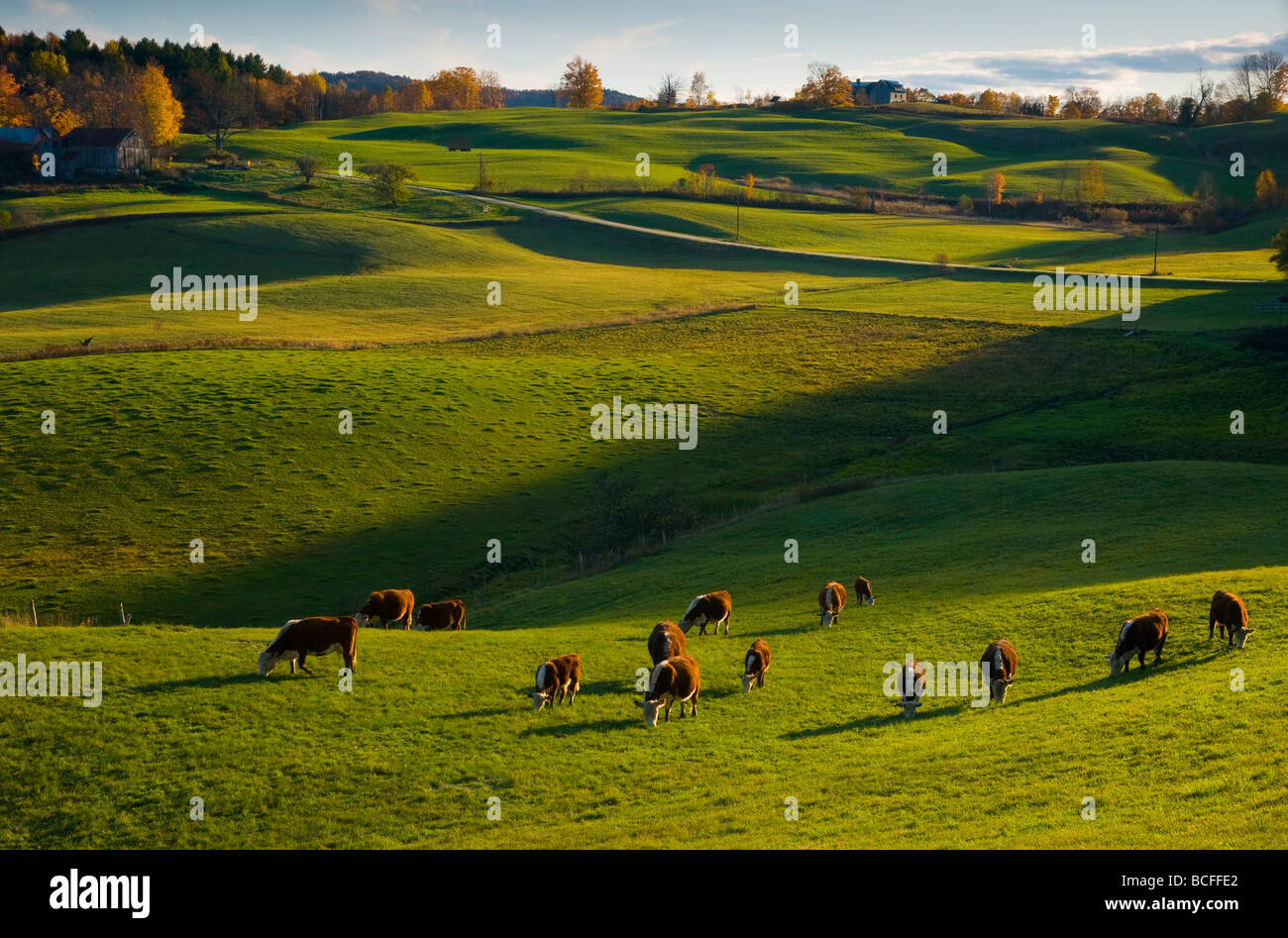 Jenne hi-res stock photography and images - Alamy