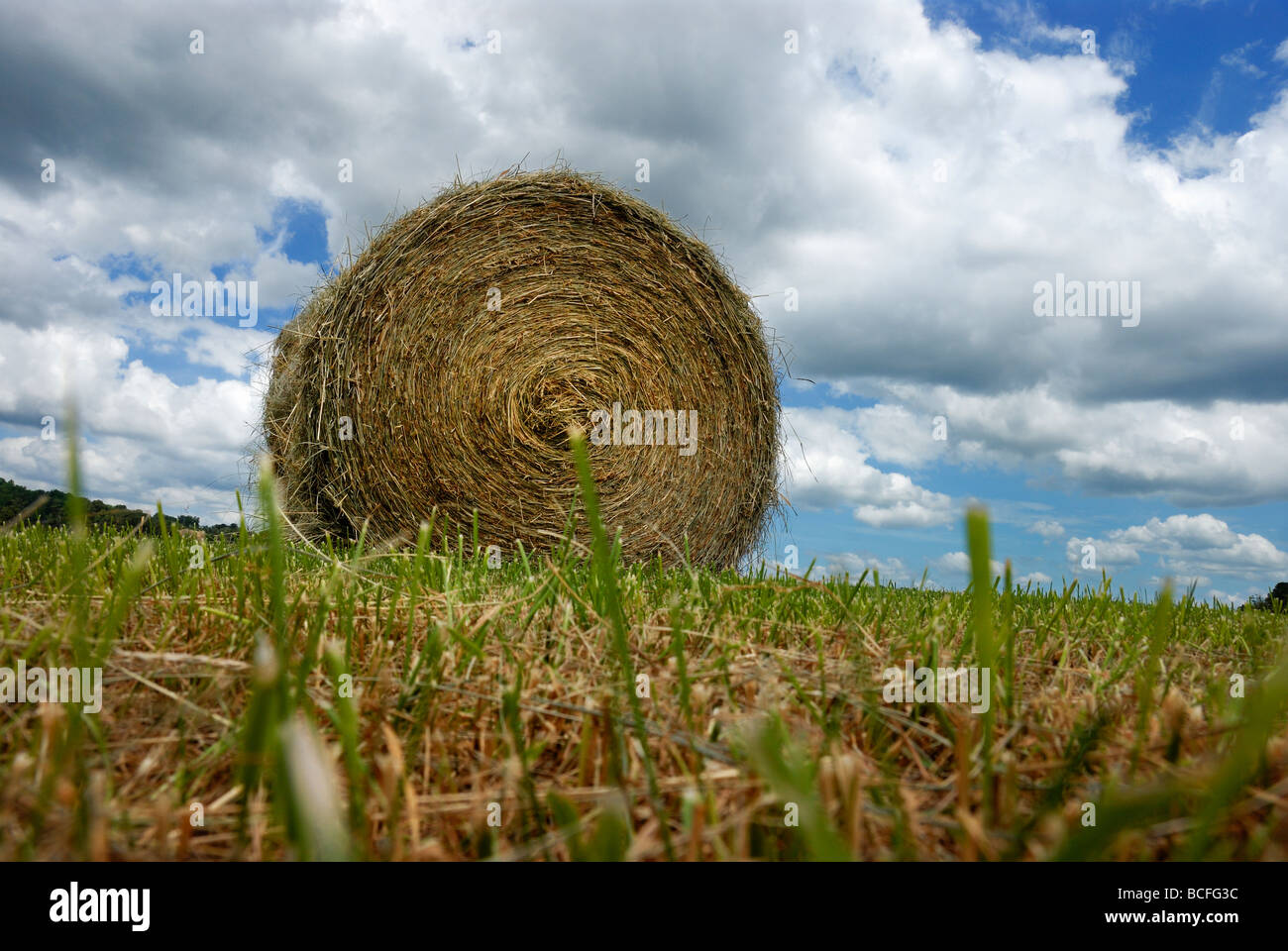 Hay Bale Georgia Stock Photo - Alamy