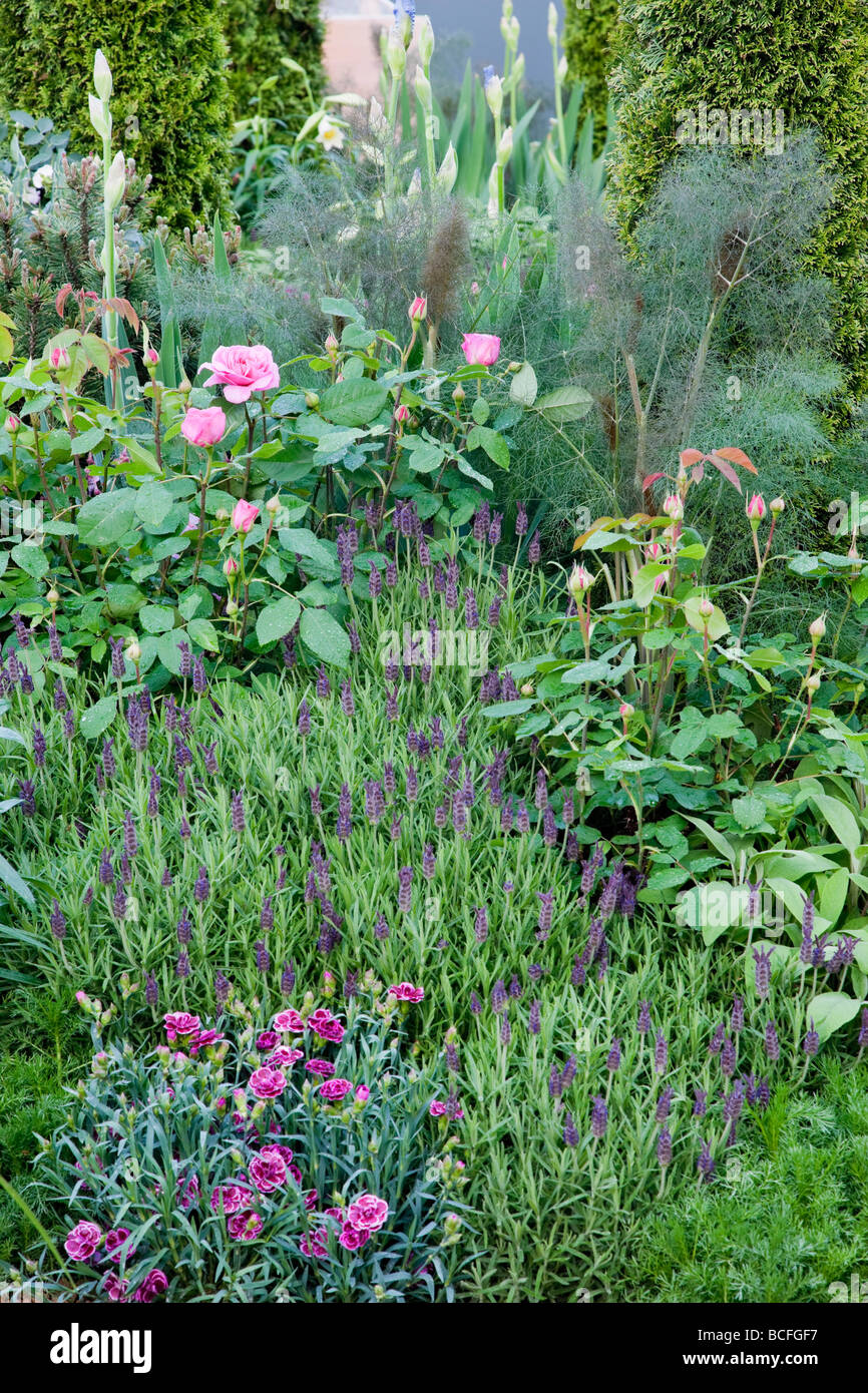 Patrick collins hi-res stock photography and images - Alamy