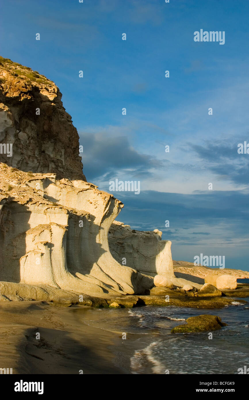 Coastal cliff habitats hi-res stock photography and images - Alamy