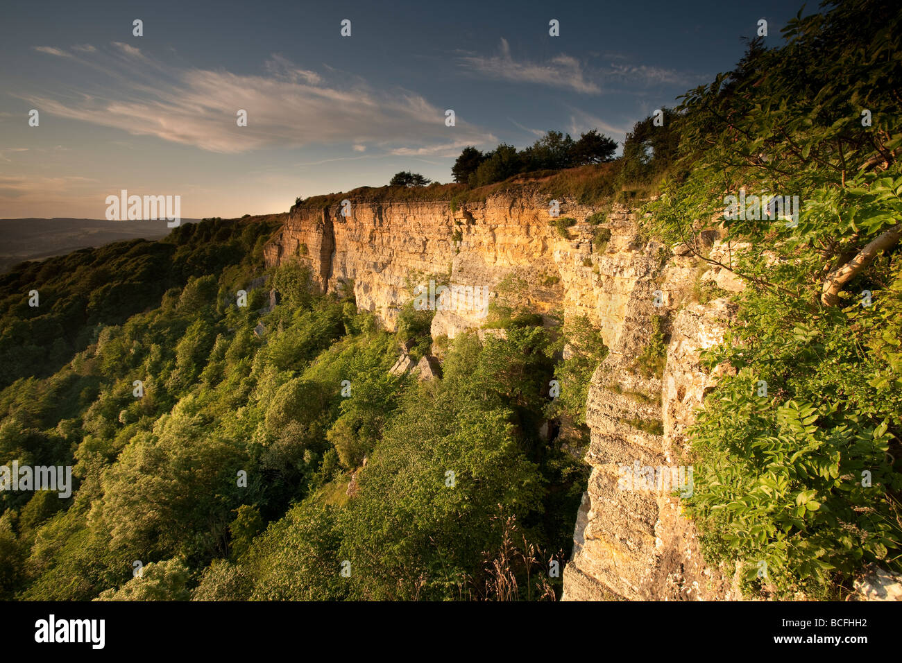 Whitestone cliff hi-res stock photography and images - Alamy