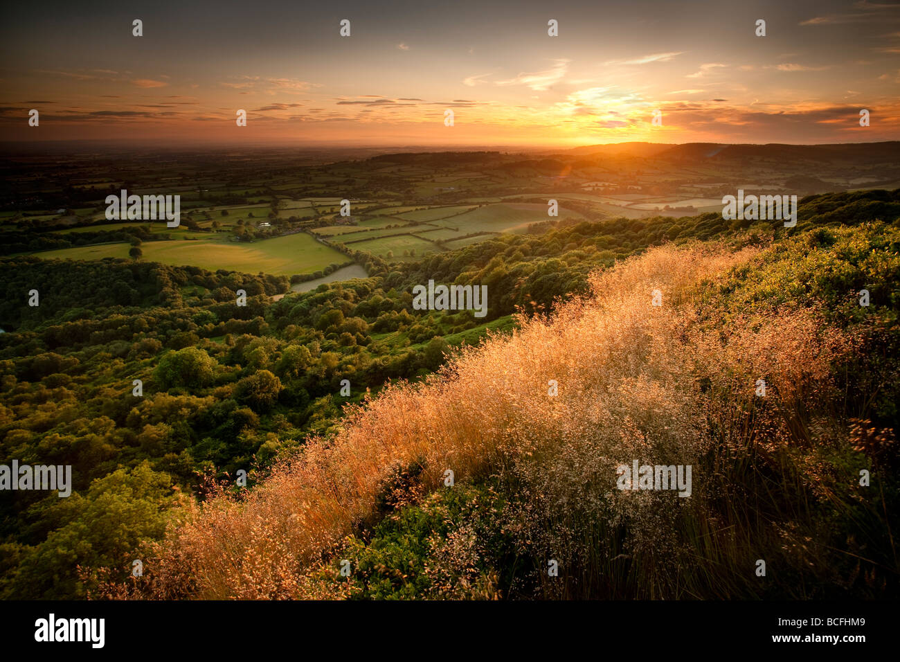 Summer on the moors hi-res stock photography and images - Alamy