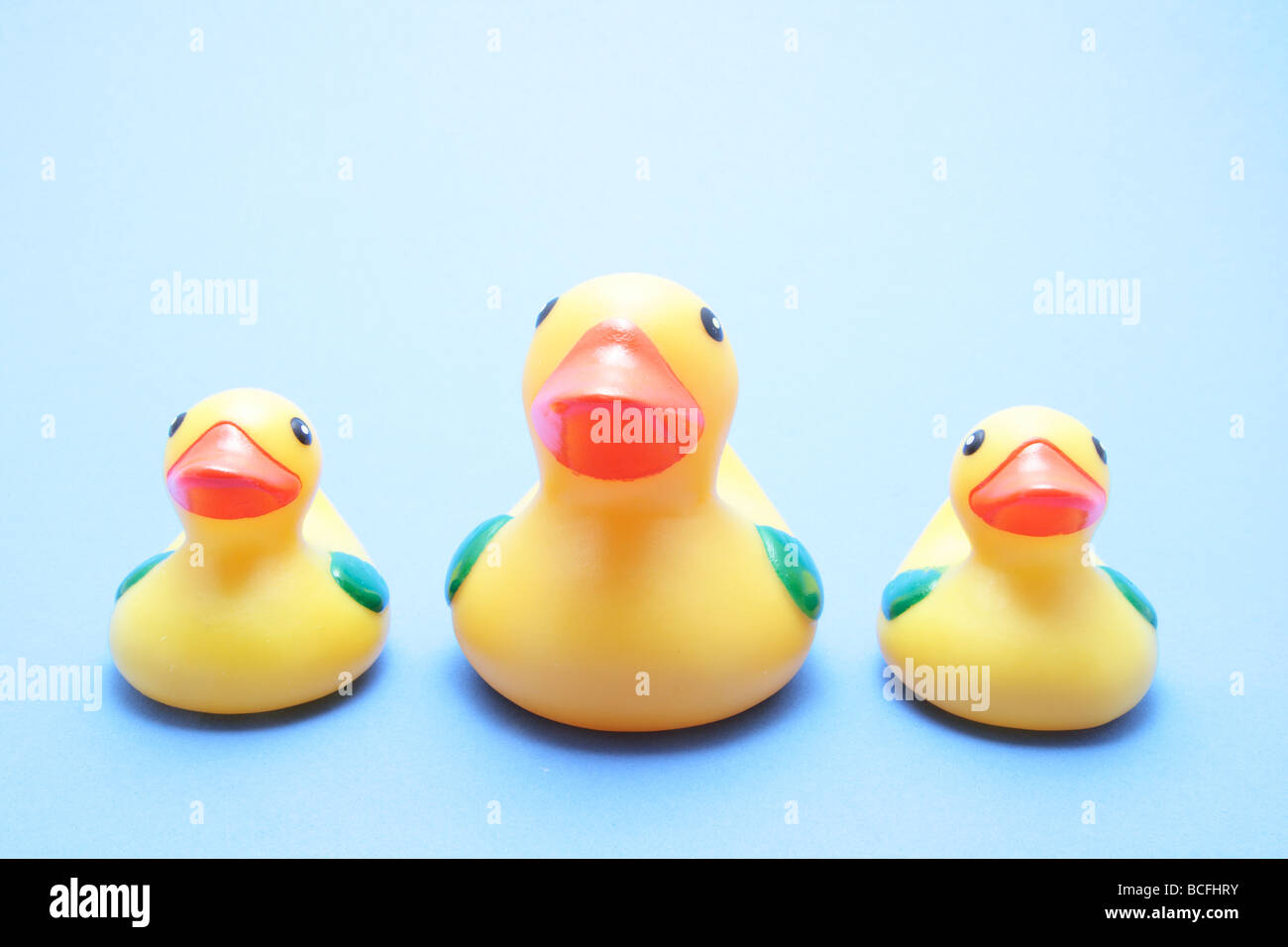 Ducklings row hi-res stock photography and images - Alamy