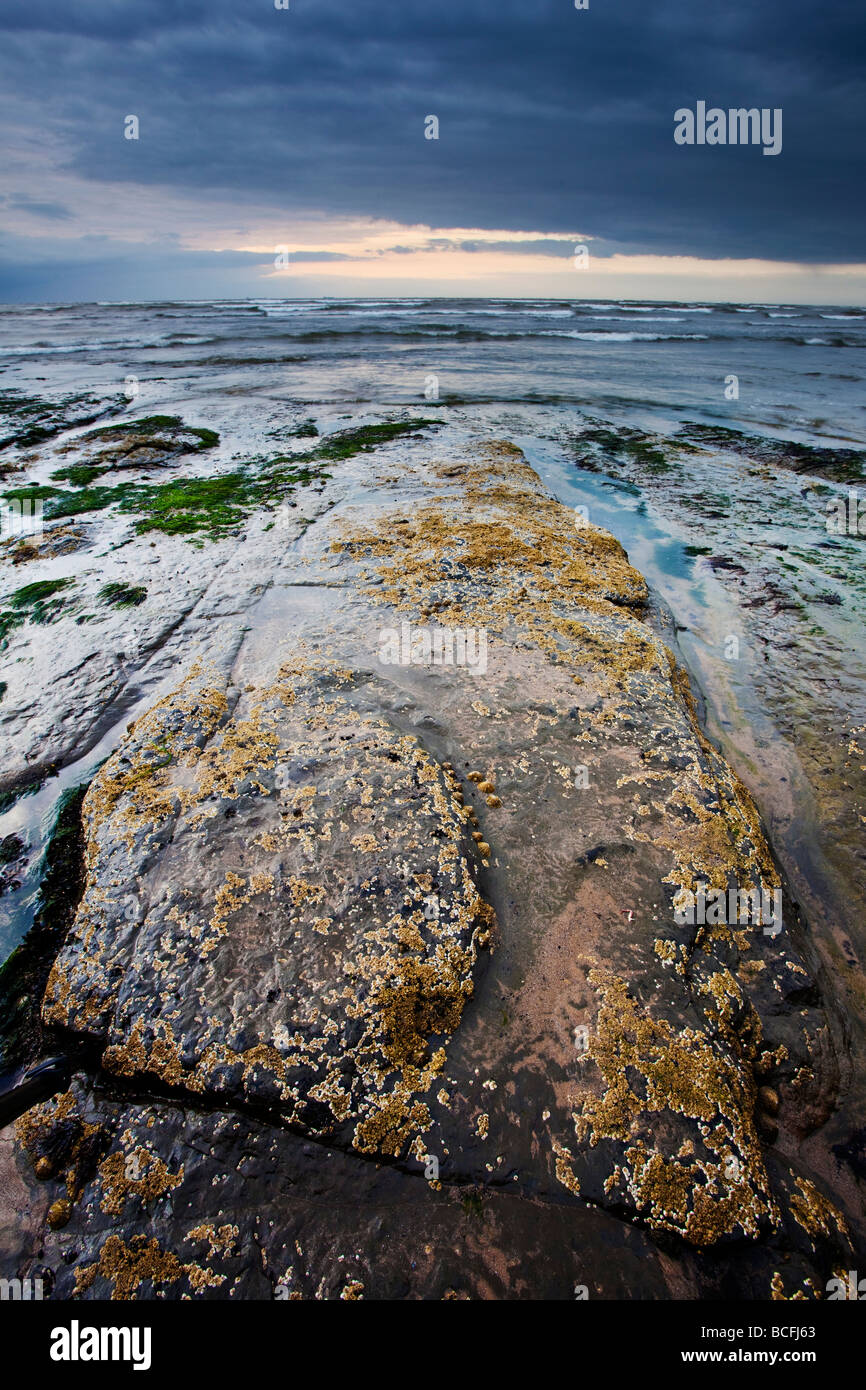 Rock at low tide Huntcliff Saltburn by the Sea Stock Photo - Alamy