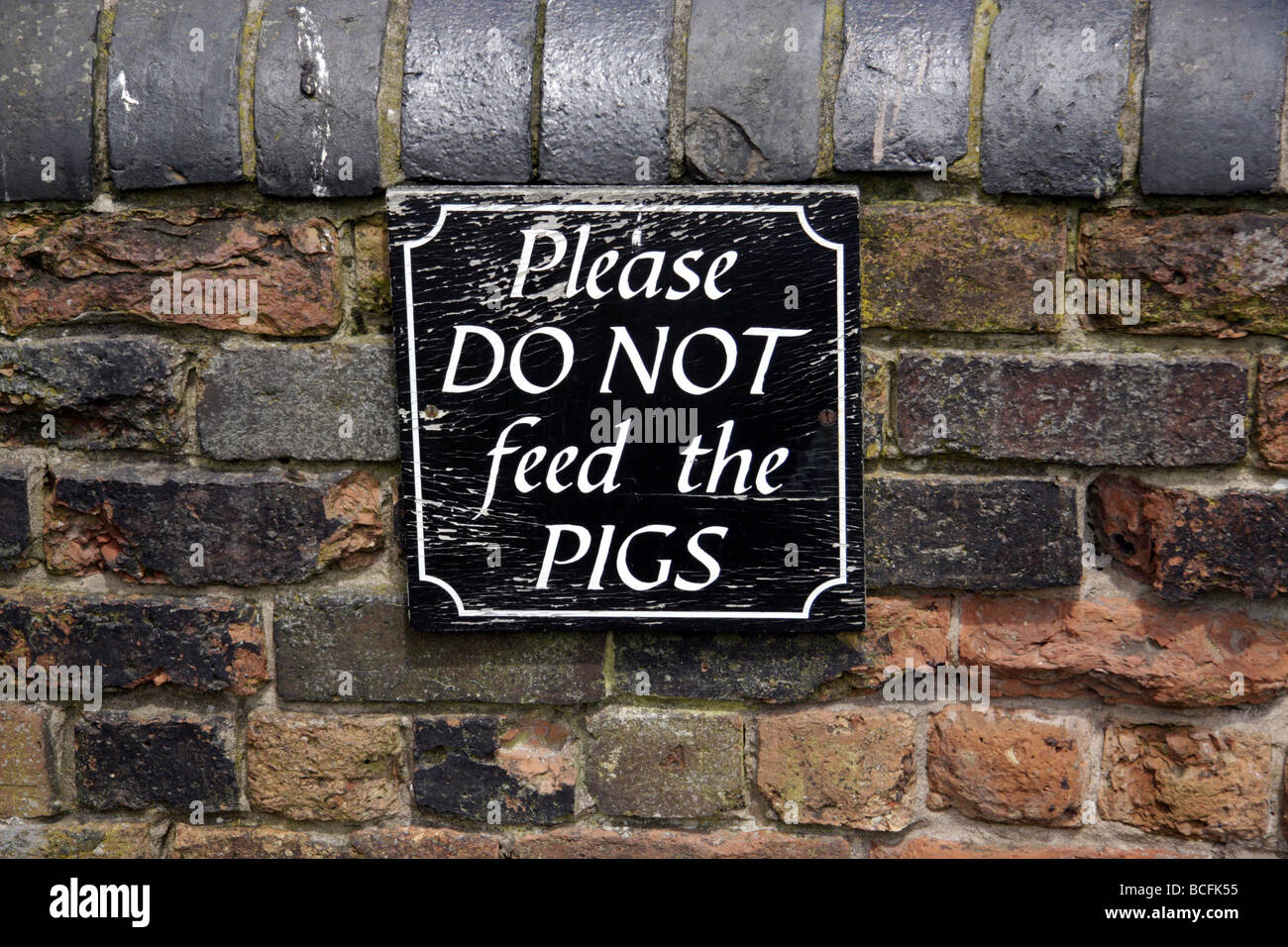 Old fashioned sign stating "Please do not feed the pigs" on brick wall ...