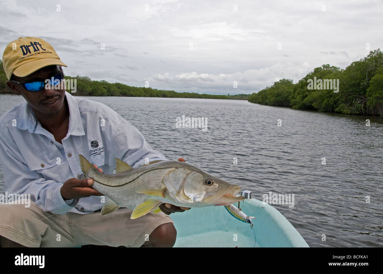 Snook Fish High Resolution Stock Photography and Images - Alamy