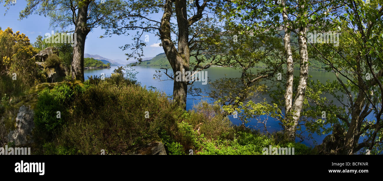 Loch Lomond, Scotland, Great Britain Stock Photo - Alamy