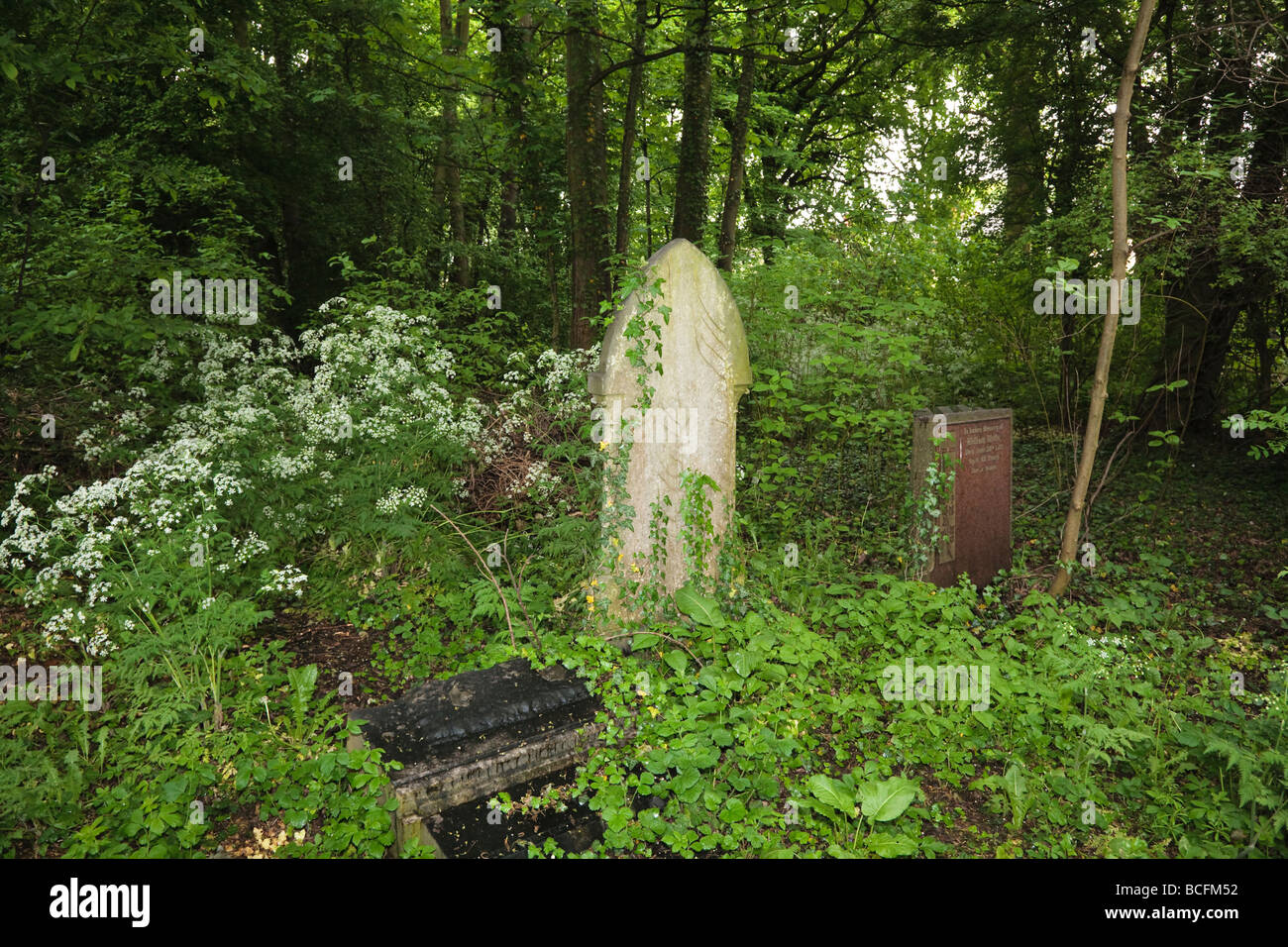 Victorian grave, Spring Bank West General Cemetery, Kingston upon Hull ...