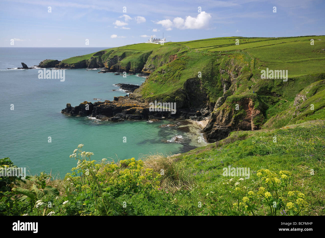 Housel Bay and Lizard Lighthouse Lizard Point Cornwall Viewed from Bass ...
