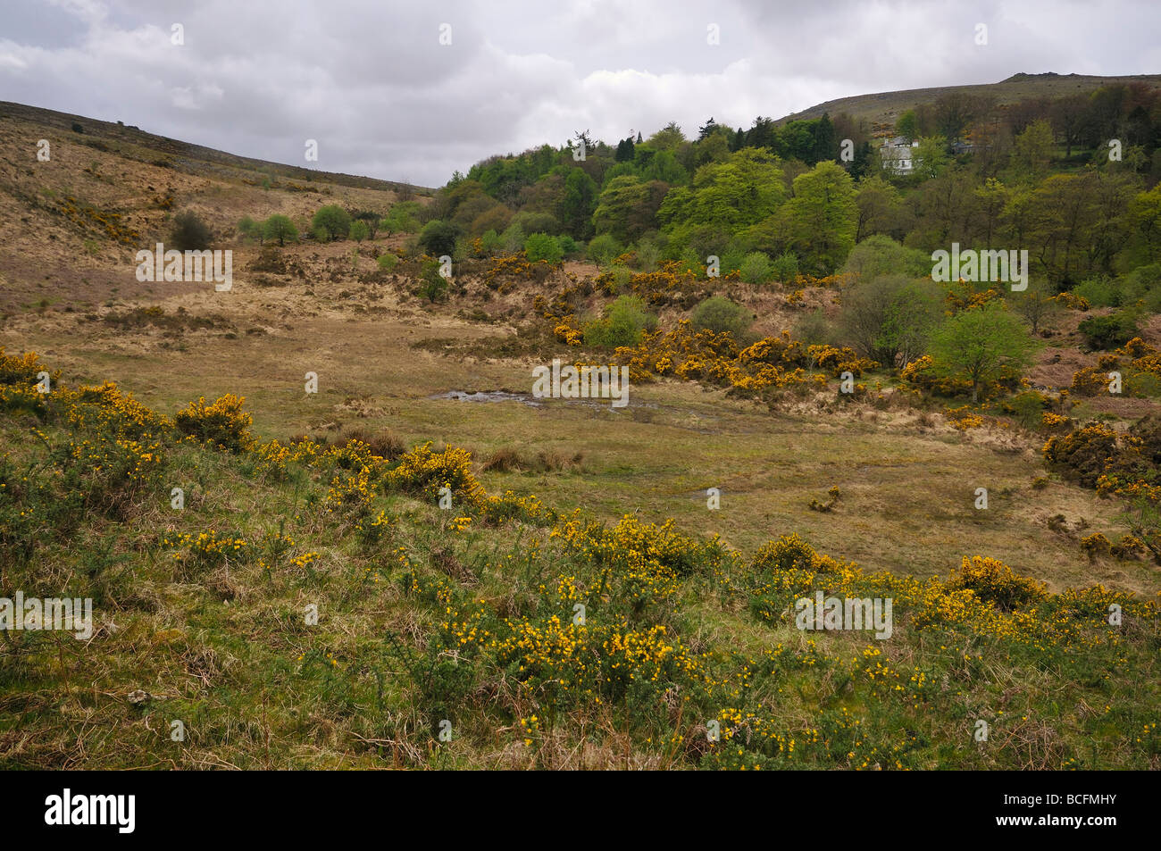 Belstone common dartmoor hi-res stock photography and images - Alamy