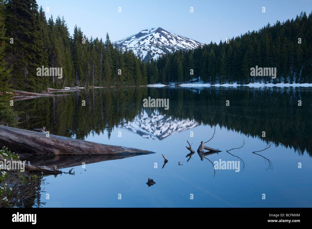 Mount Bachelor and Todd Lake Stock Photo - Alamy