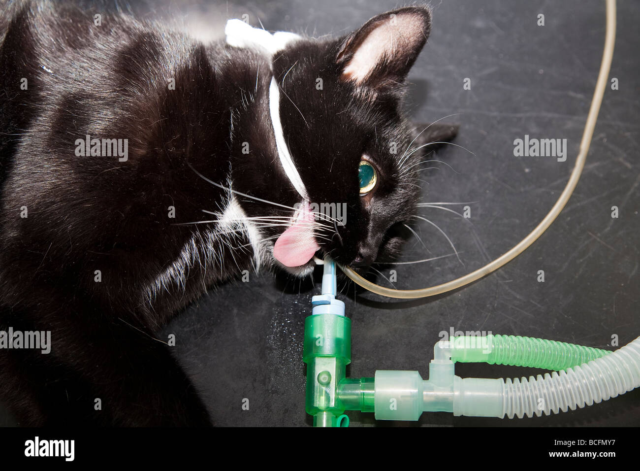 Anaesthesia hi-res stock photography and images - Alamy