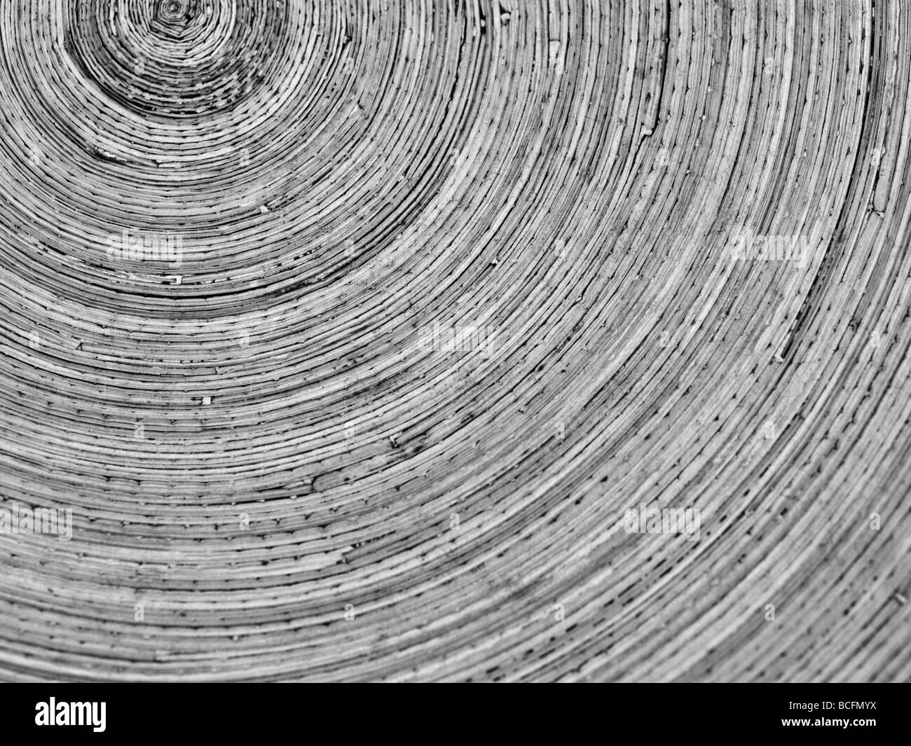 Wowen Black and White Stock Photos & Images - Alamy