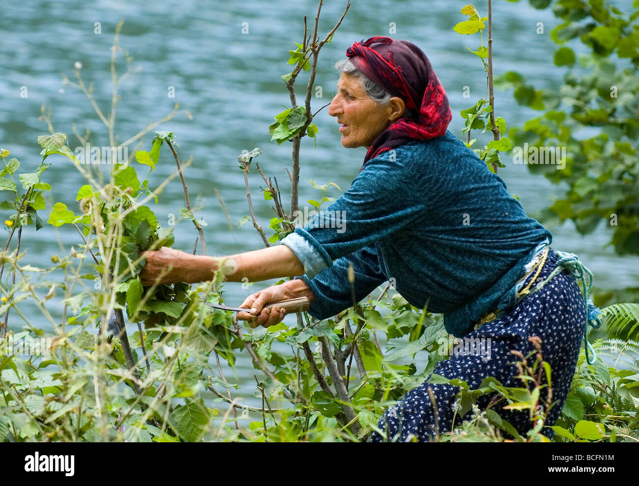 Elderly turkish woman hi-res stock photography and images - Alamy