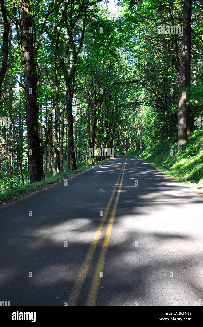 Old highway in the Columbia River Gorge Stock Photo - Alamy