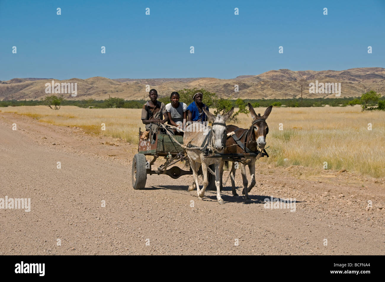 local travel by donkey cart in Damaraland in Namibia Stock Photo - Alamy