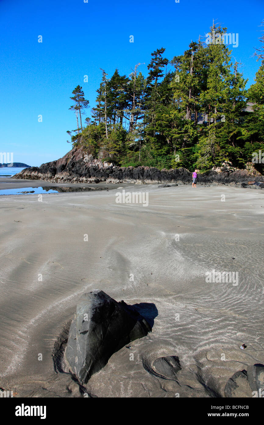 Mackenzie beach at hi-res stock photography and images - Alamy