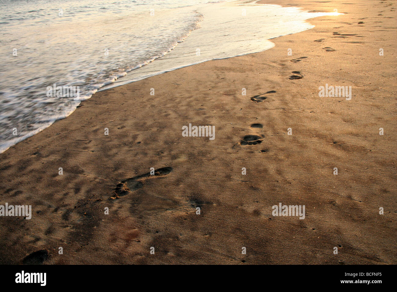 Human footprint on environment hi-res stock photography and images - Alamy