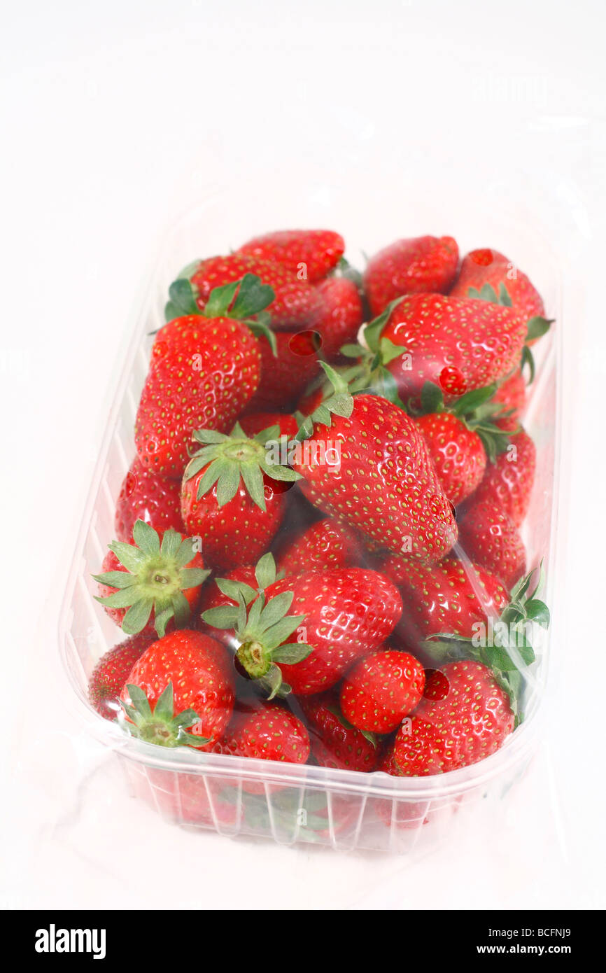 Food cover Cut Out Stock Images & Pictures - Alamy