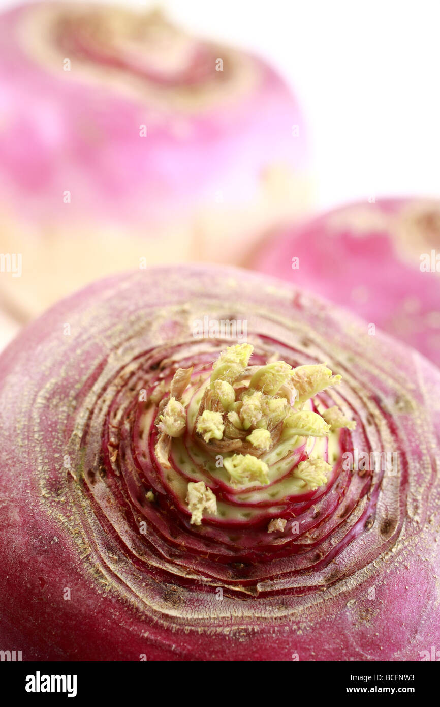 Growing vegies hi-res stock photography and images - Alamy