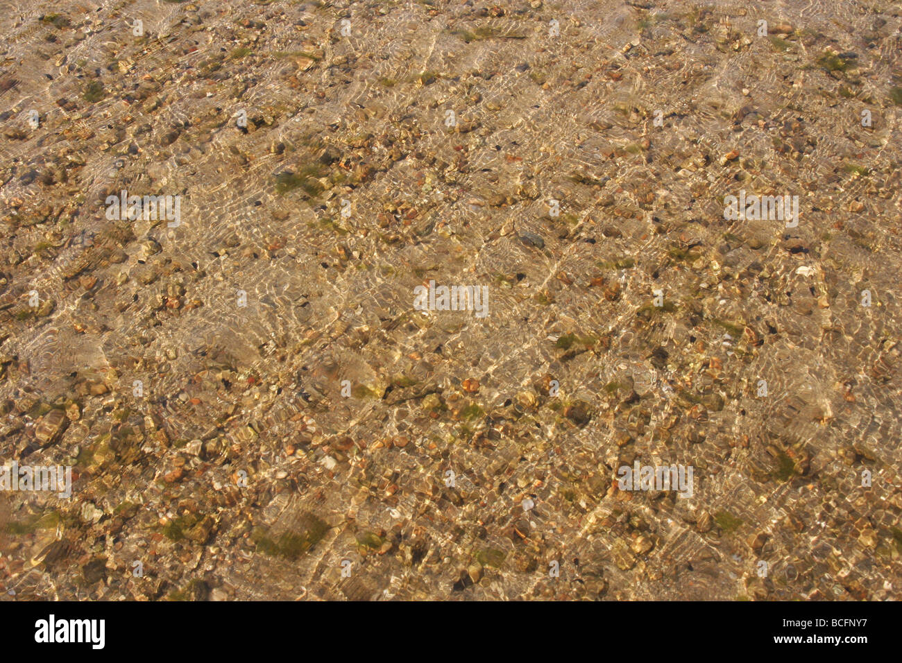 Translucent river water hi-res stock photography and images - Alamy