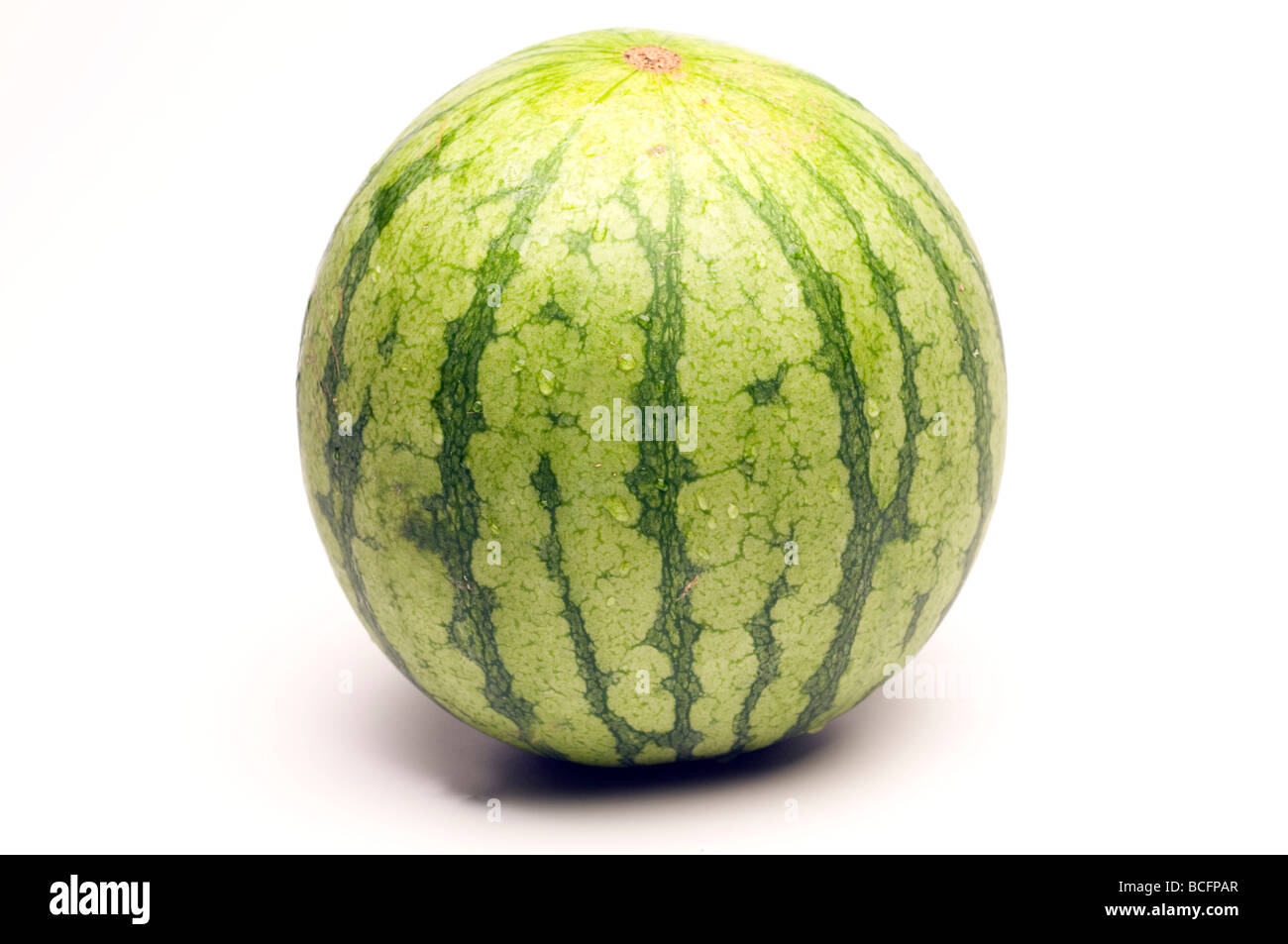 mini personal size seedless fresh watermelon which is much smaller and ...
