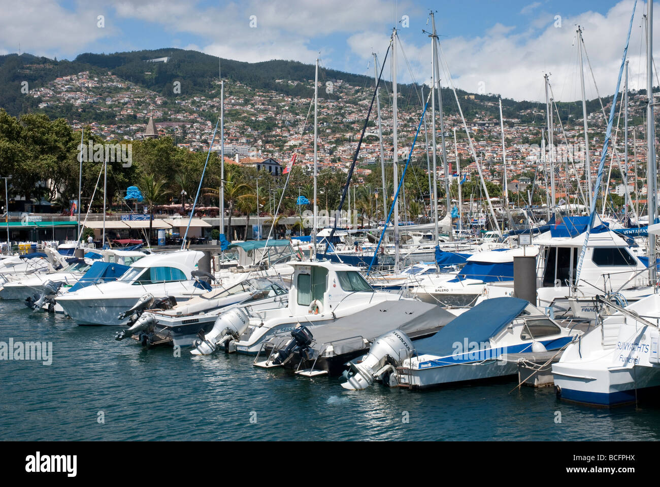 Marina in Funchal, Madeira Stock Photo - Alamy