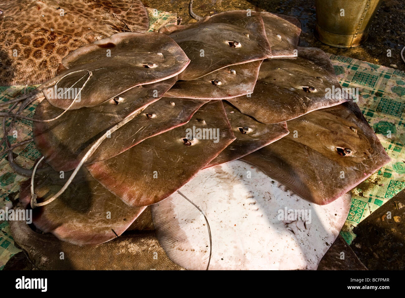 Manta fish market hi-res stock photography and images - Alamy