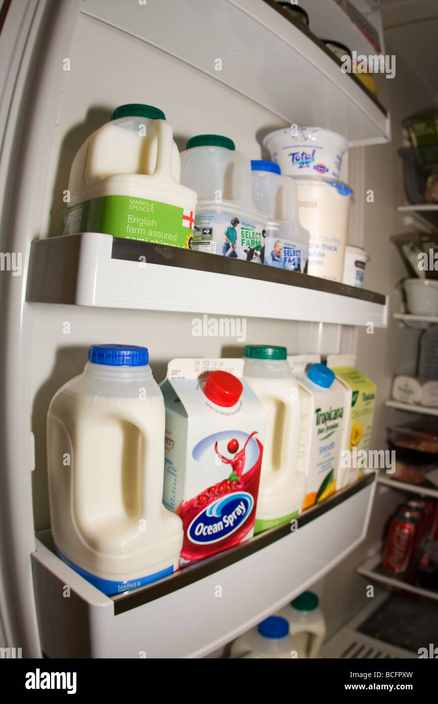 What Is Inside A Refrigerator Door at Patrick Havens blog