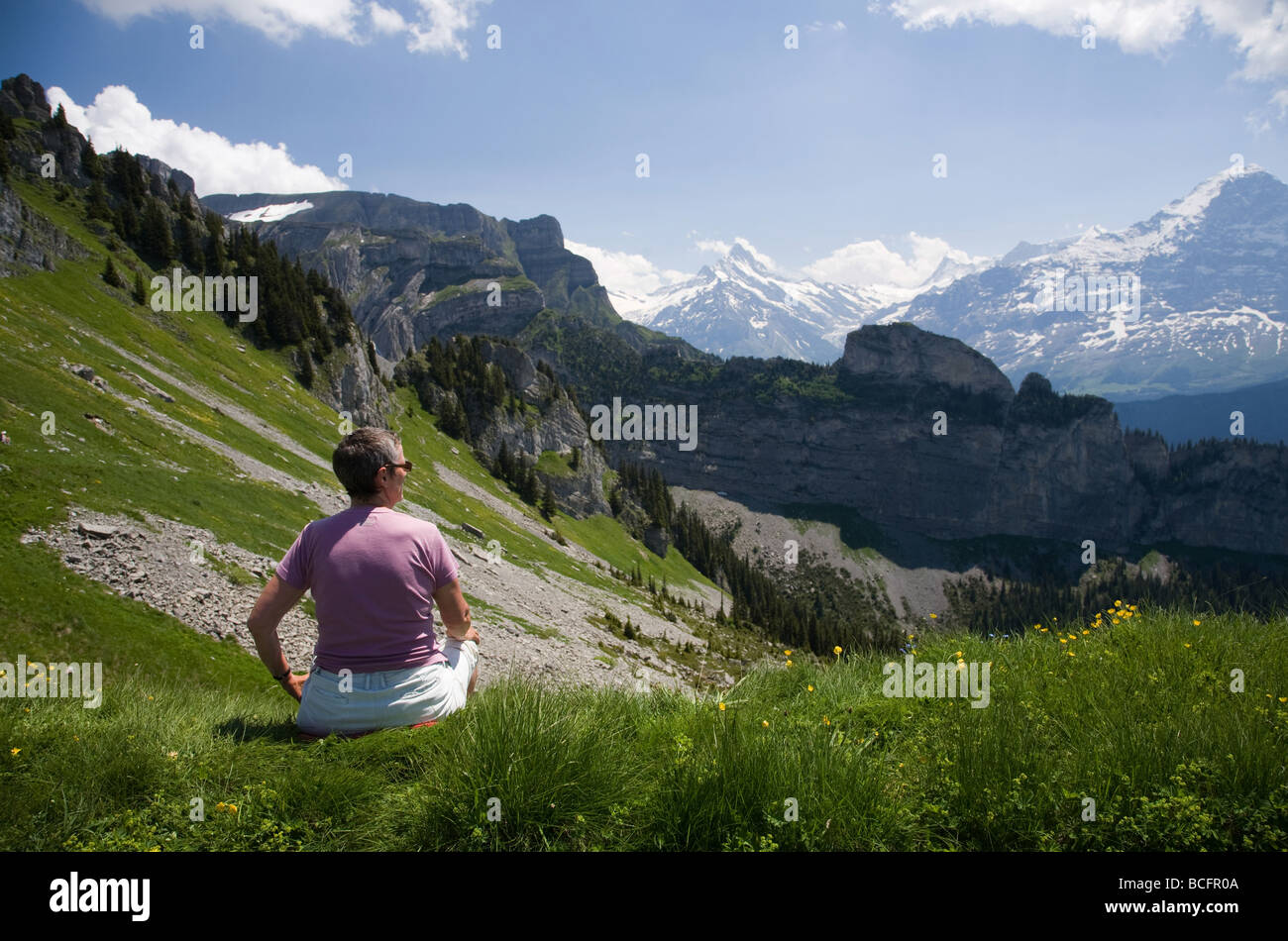 View of Iselten-Oberberg Alp, Oberberghorn, Lauchernhorn from Schynige ...