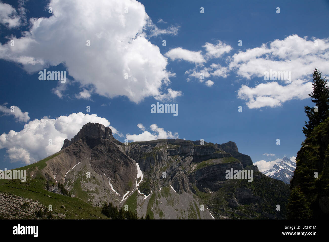 View of Iselten-Oberberg Alp, Oberberghorn, Lauchernhorn from Schynige ...