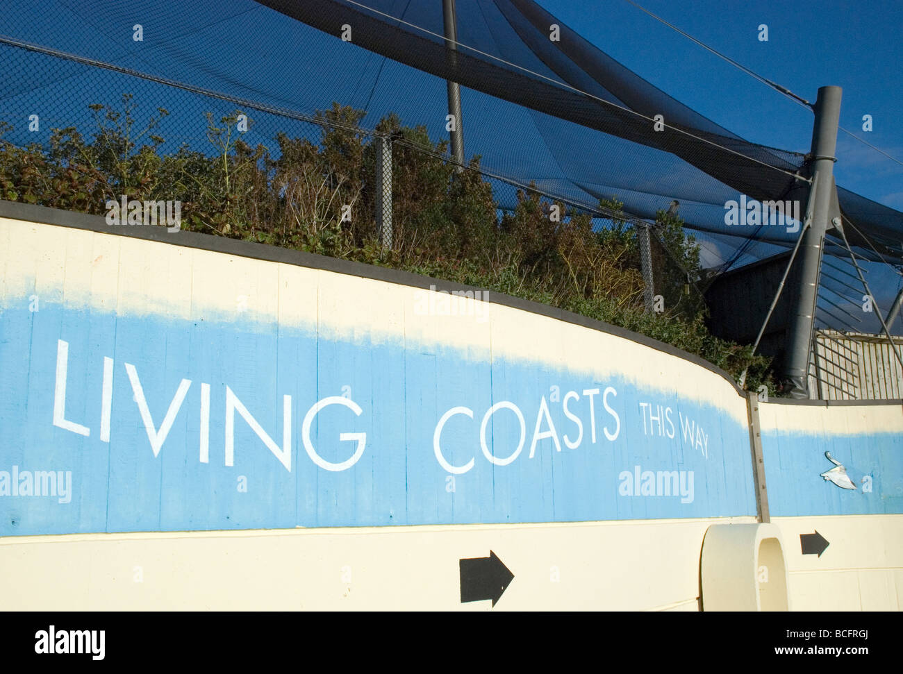 Coastal zoo torquay hi-res stock photography and images - Alamy