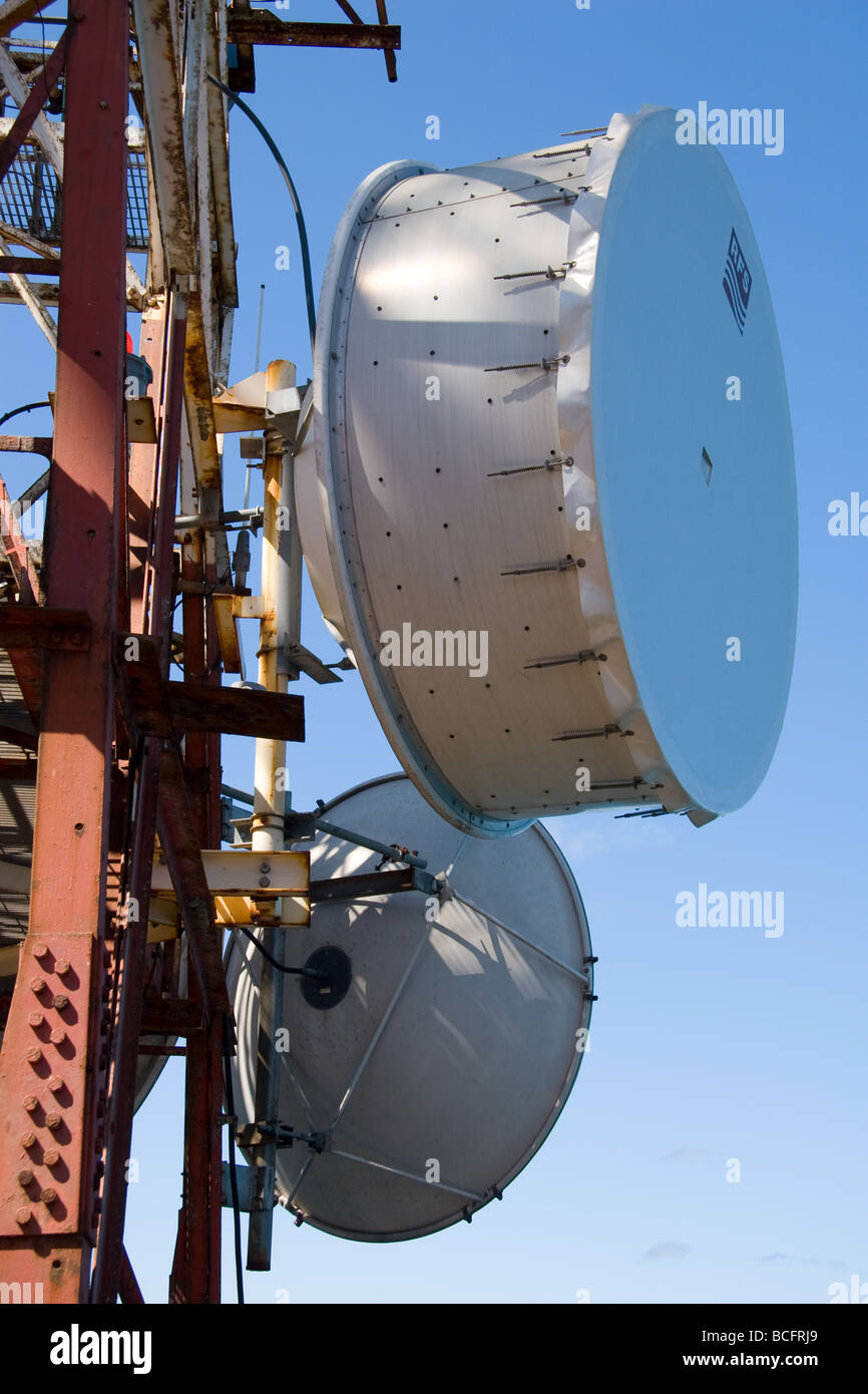 Microwave Dish Stock Photos & Microwave Dish Stock Images - Alamy