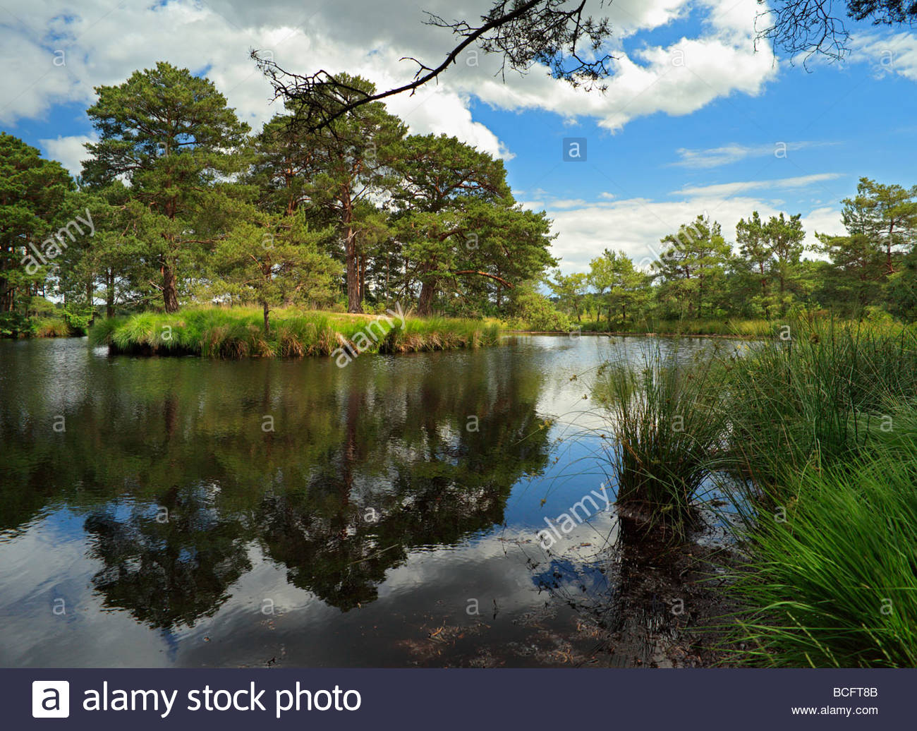 The Flashes Frensham High Resolution Stock Photography and Images - Alamy