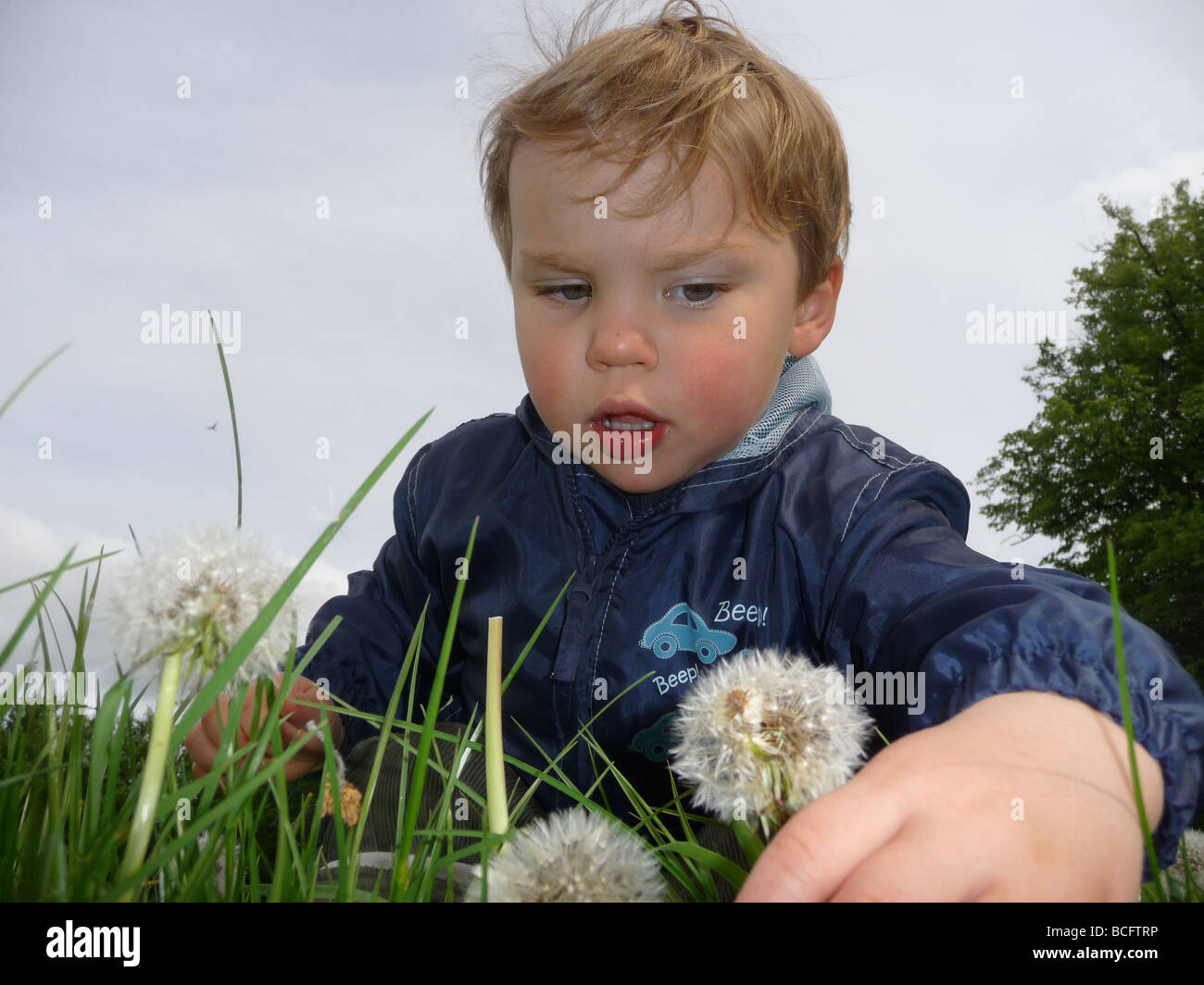 Young boy exploring the environment Stock Photo - Alamy