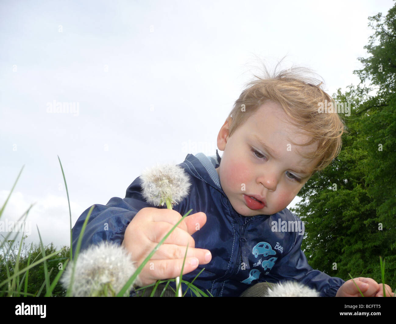 Young boy exploring the environment Stock Photo - Alamy