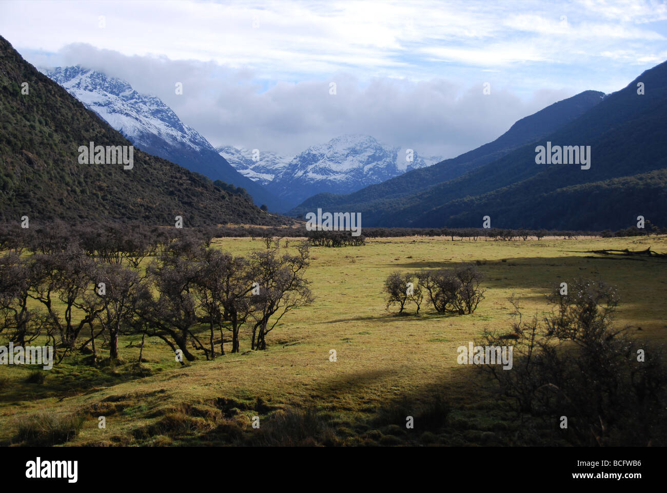 Caples track hi-res stock photography and images - Alamy