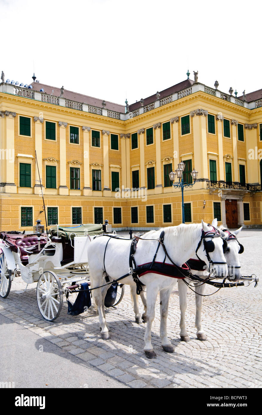 Interior of the orangery palace hi-res stock photography and images - Alamy
