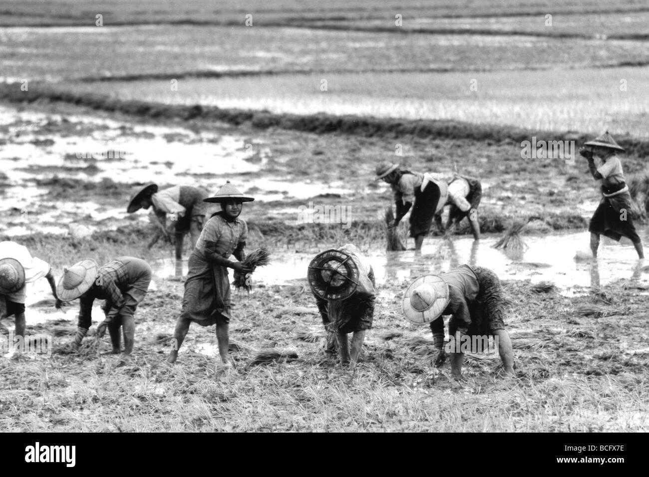 myanmar tangoo daily life Stock Photo - Alamy
