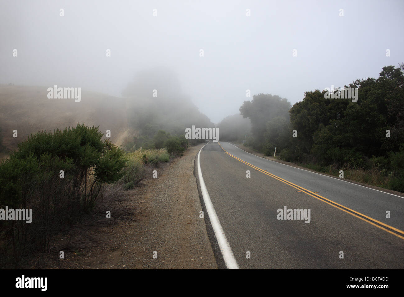 Rural road in thick fog landscape background Stock Photo - Alamy