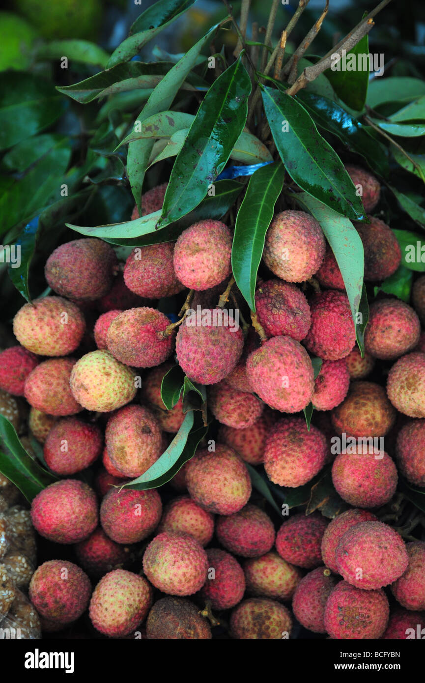 Cluster of healthy red lychees Stock Photo - Alamy