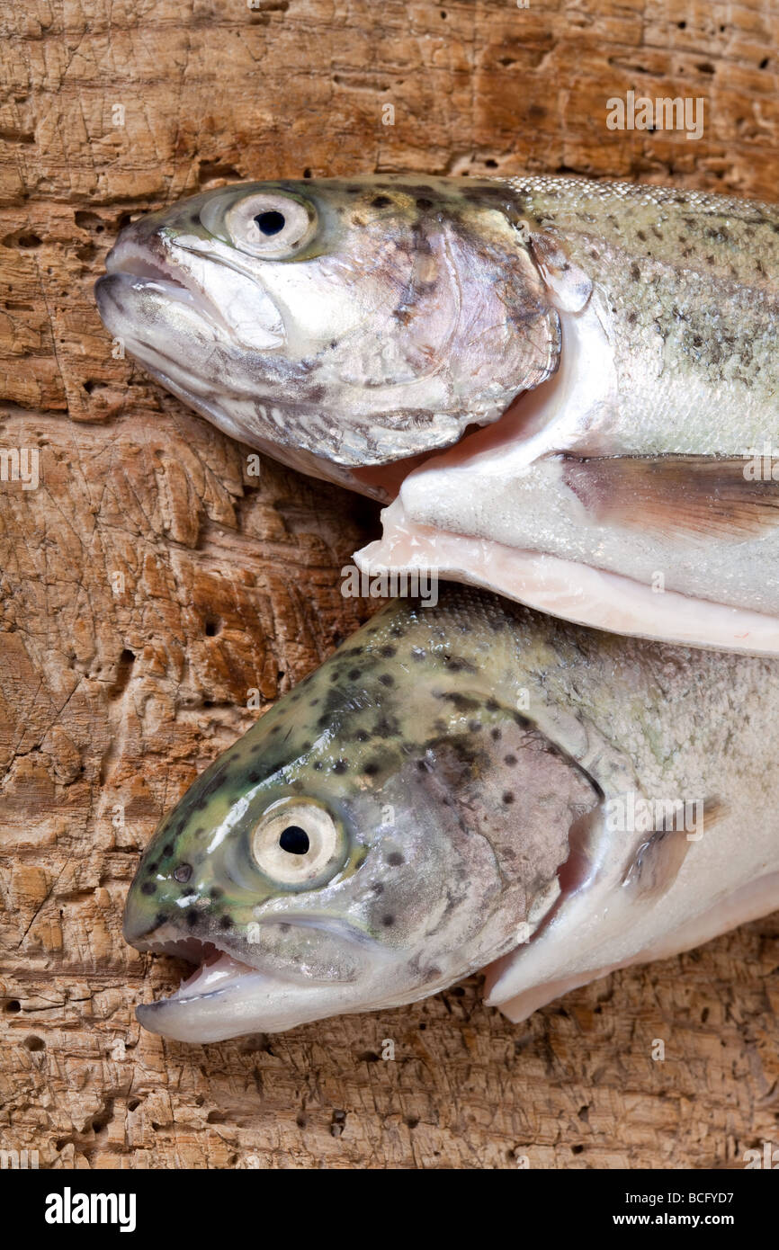 Two fresh trout fish hi-res stock photography and images - Alamy