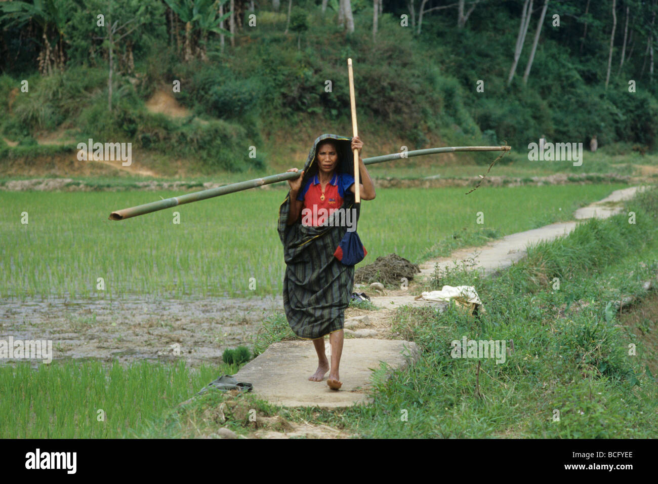 toraja people sulawesi indonesia Stock Photo - Alamy