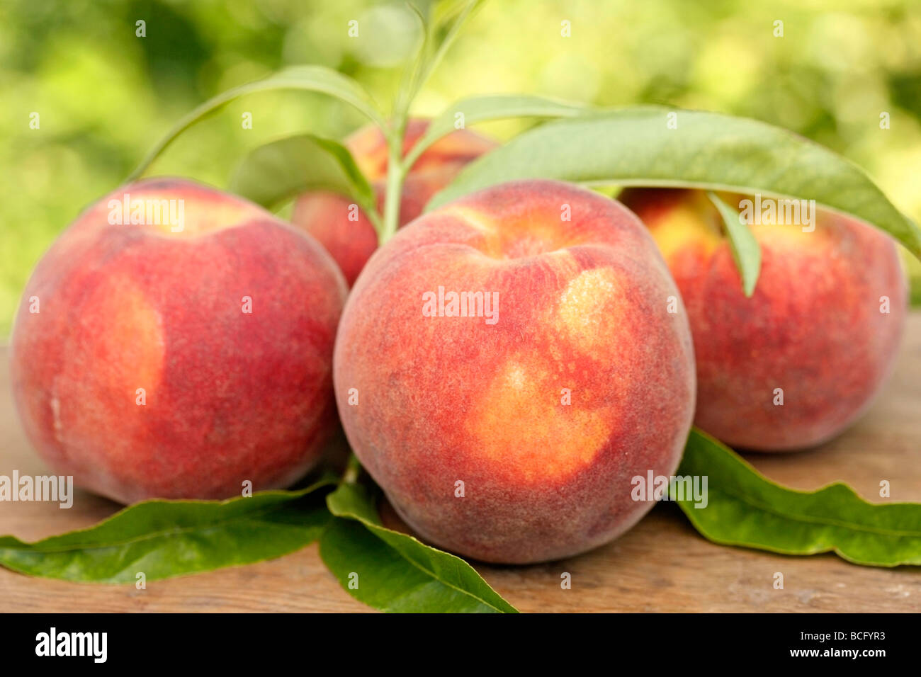 Peaches in natural background Stock Photo - Alamy
