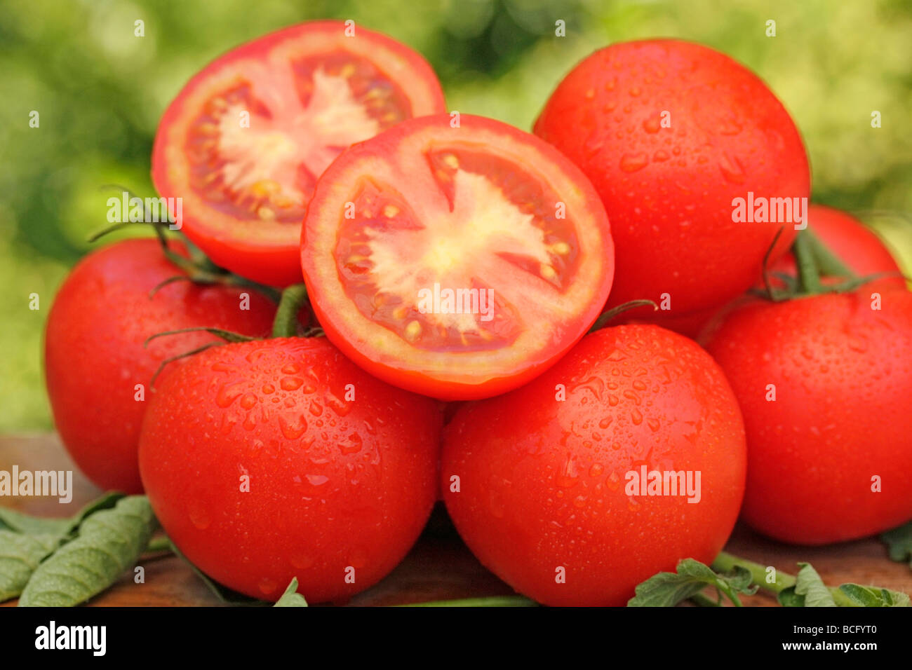 Tomatoes in natural background Stock Photo - Alamy